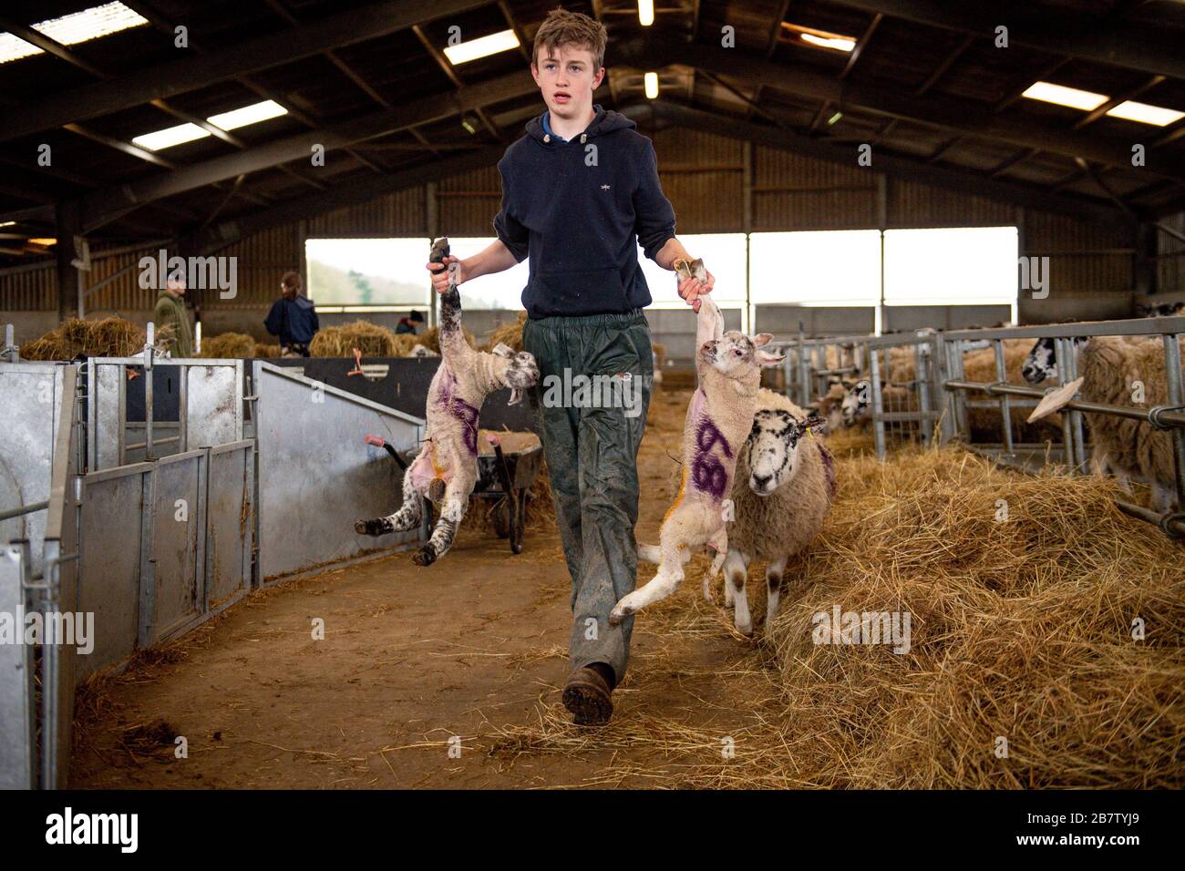 Moreton morrell college hi-res stock photography and images - Alamy