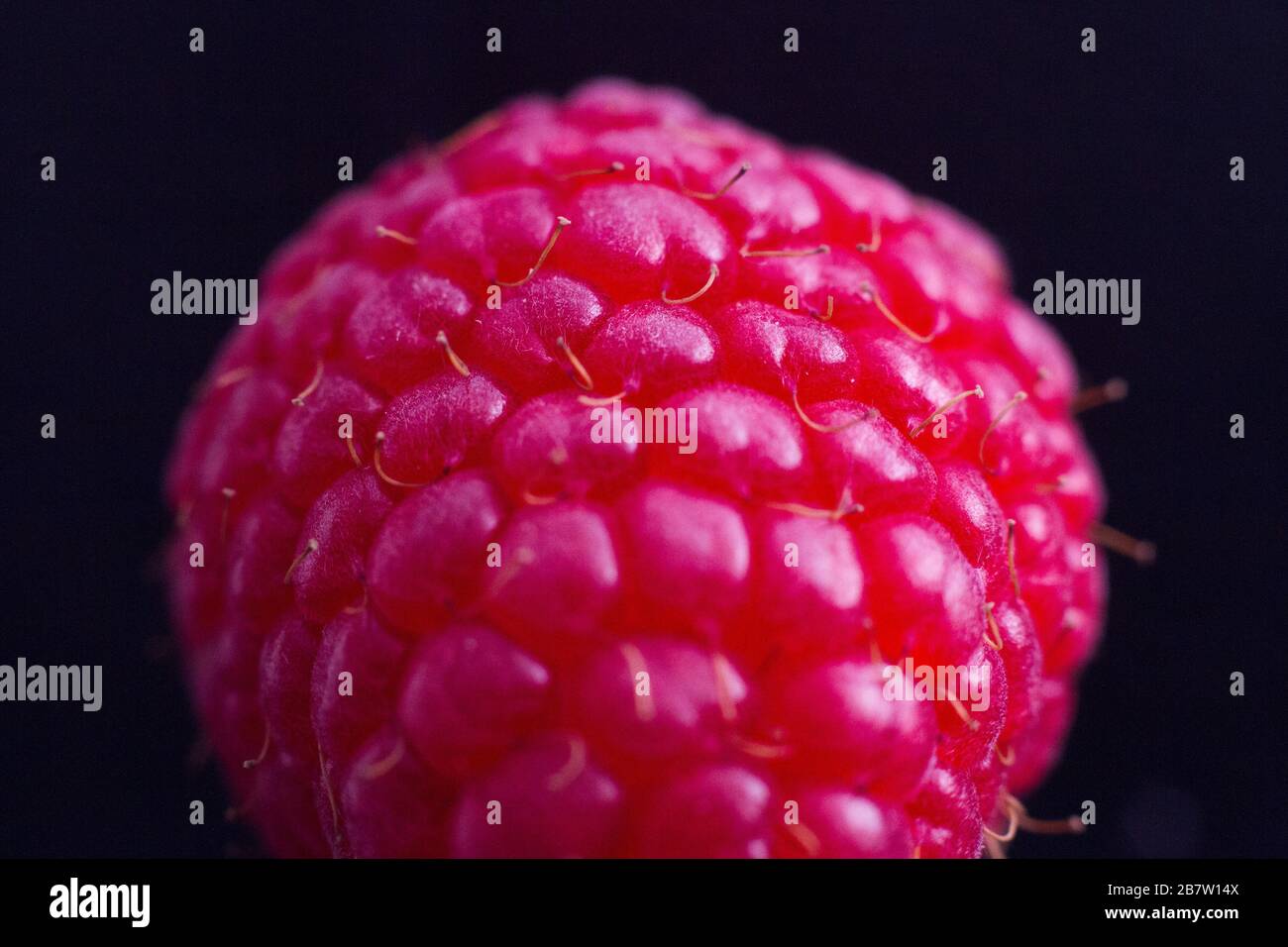 Picture of raspberry hi-res stock photography and images - Alamy