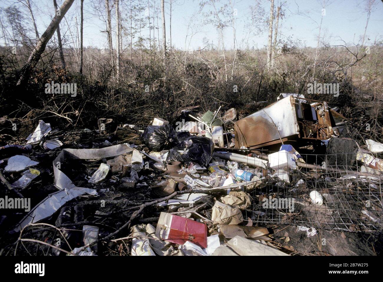 Texas: Trash in rural area of east Texas logging site. ©Bob Daemmrich ...