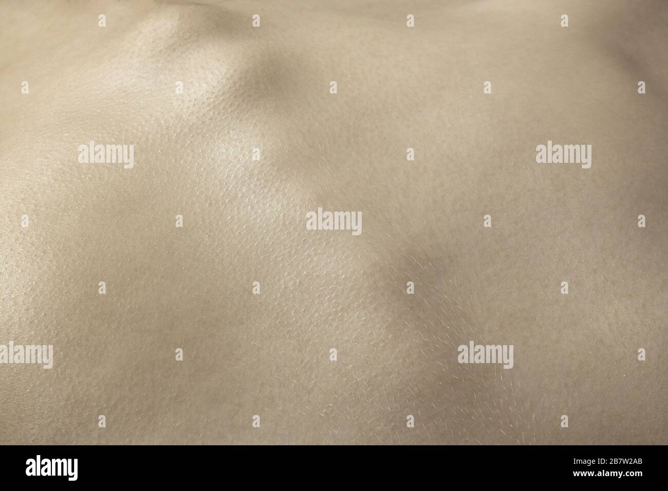 Spine. Detailed texture of human skin. Close up shot of young caucasian ...