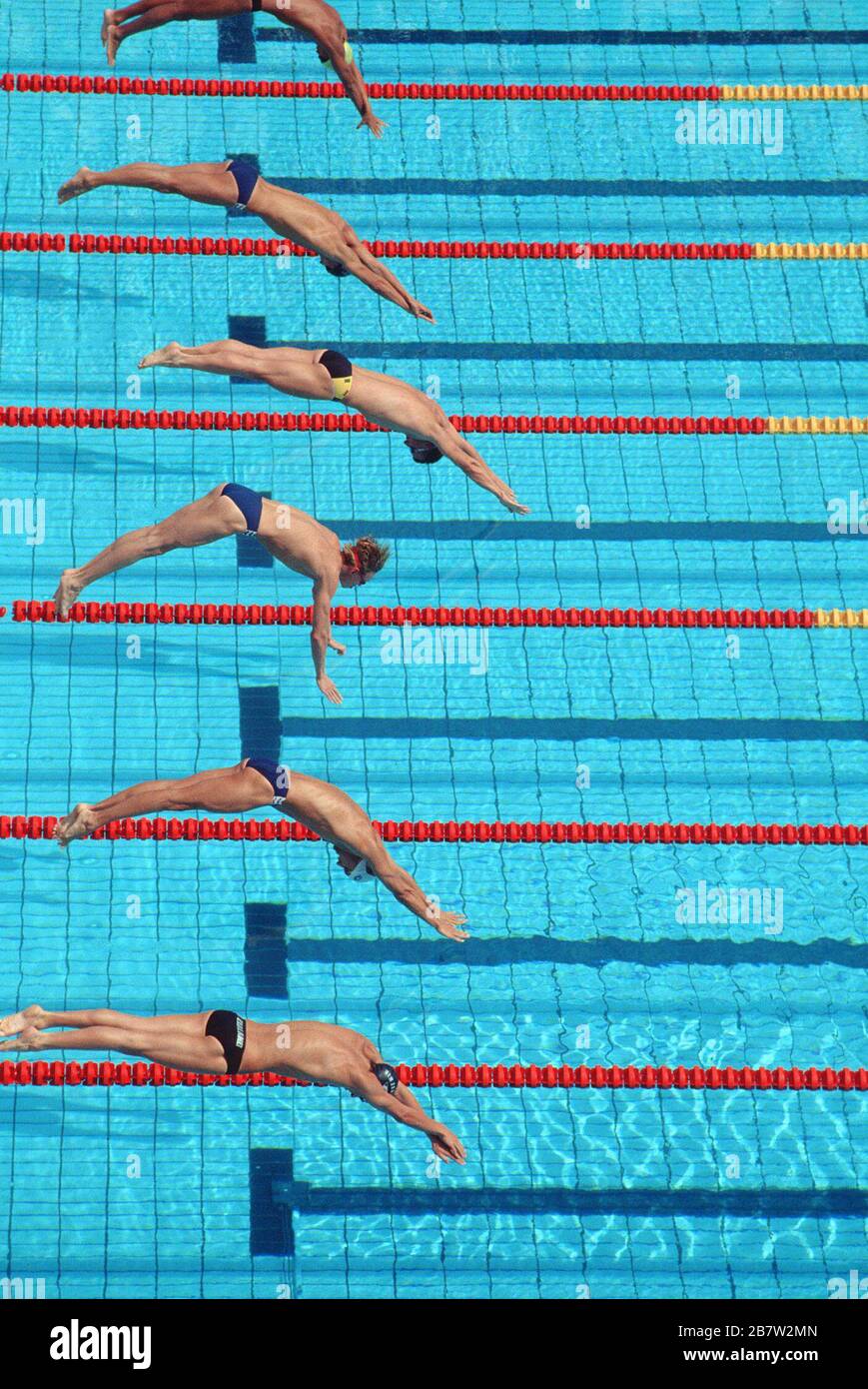 Olympic Swimmers Diving