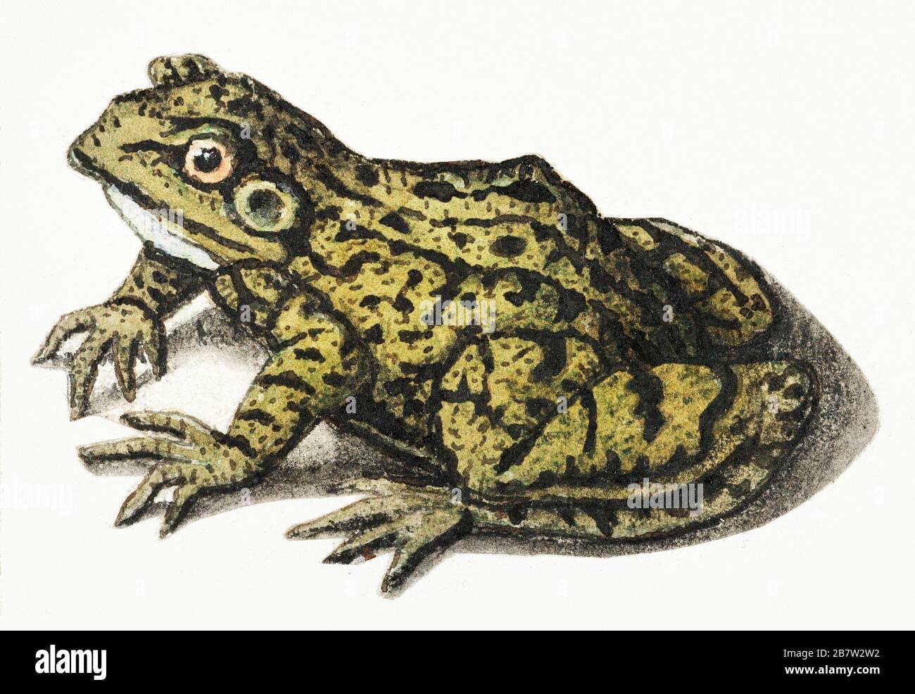 Anonymous fishing hi-res stock photography and images - Alamy