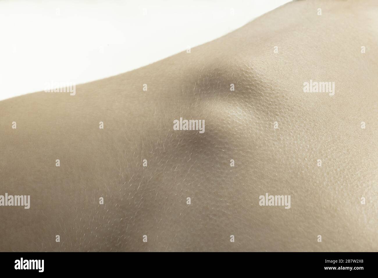 Spine. Detailed texture of human skin. Close up shot of young caucasian ...