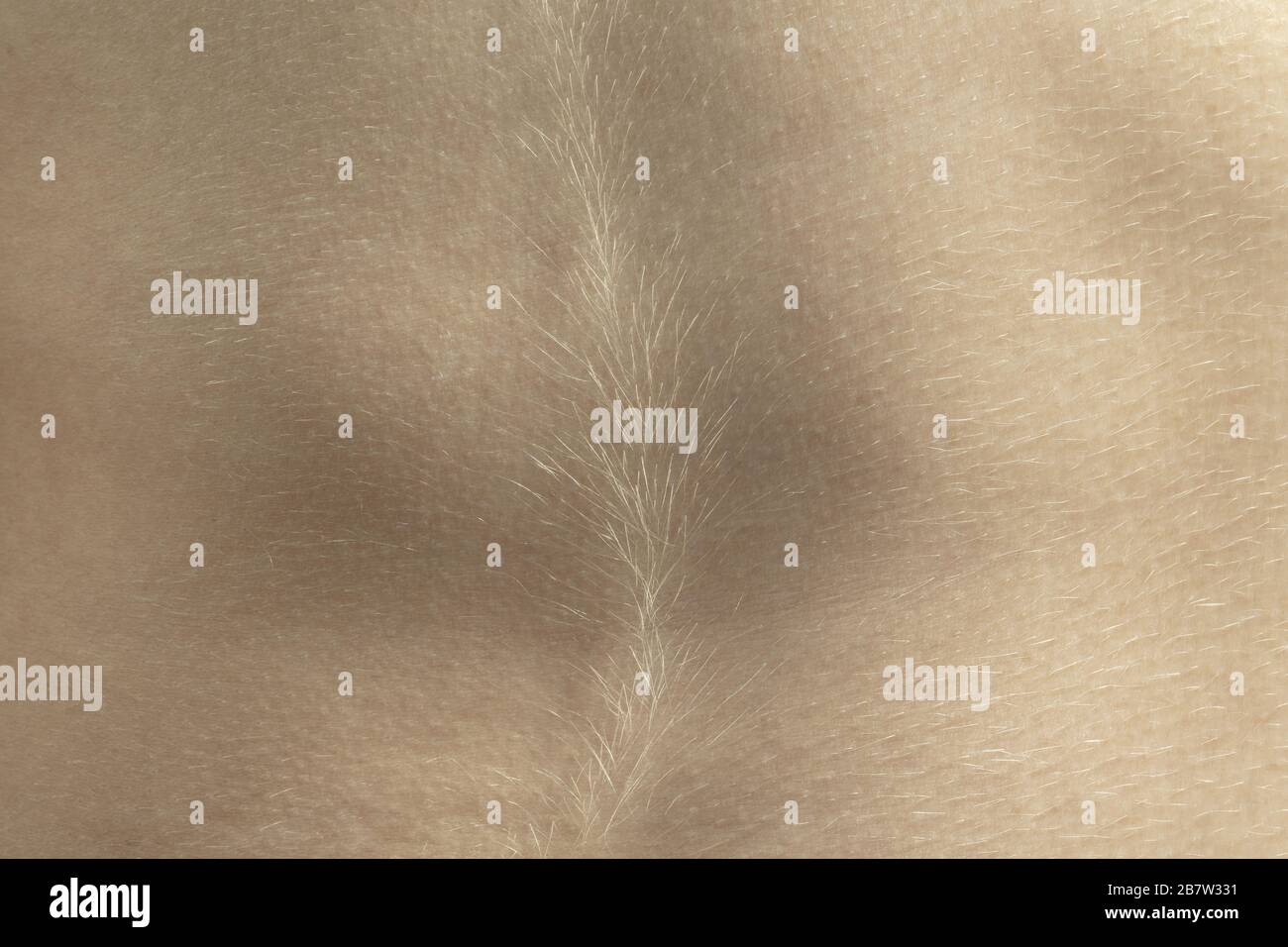 Belly. Detailed texture of human skin. Close up shot of young caucasian ...