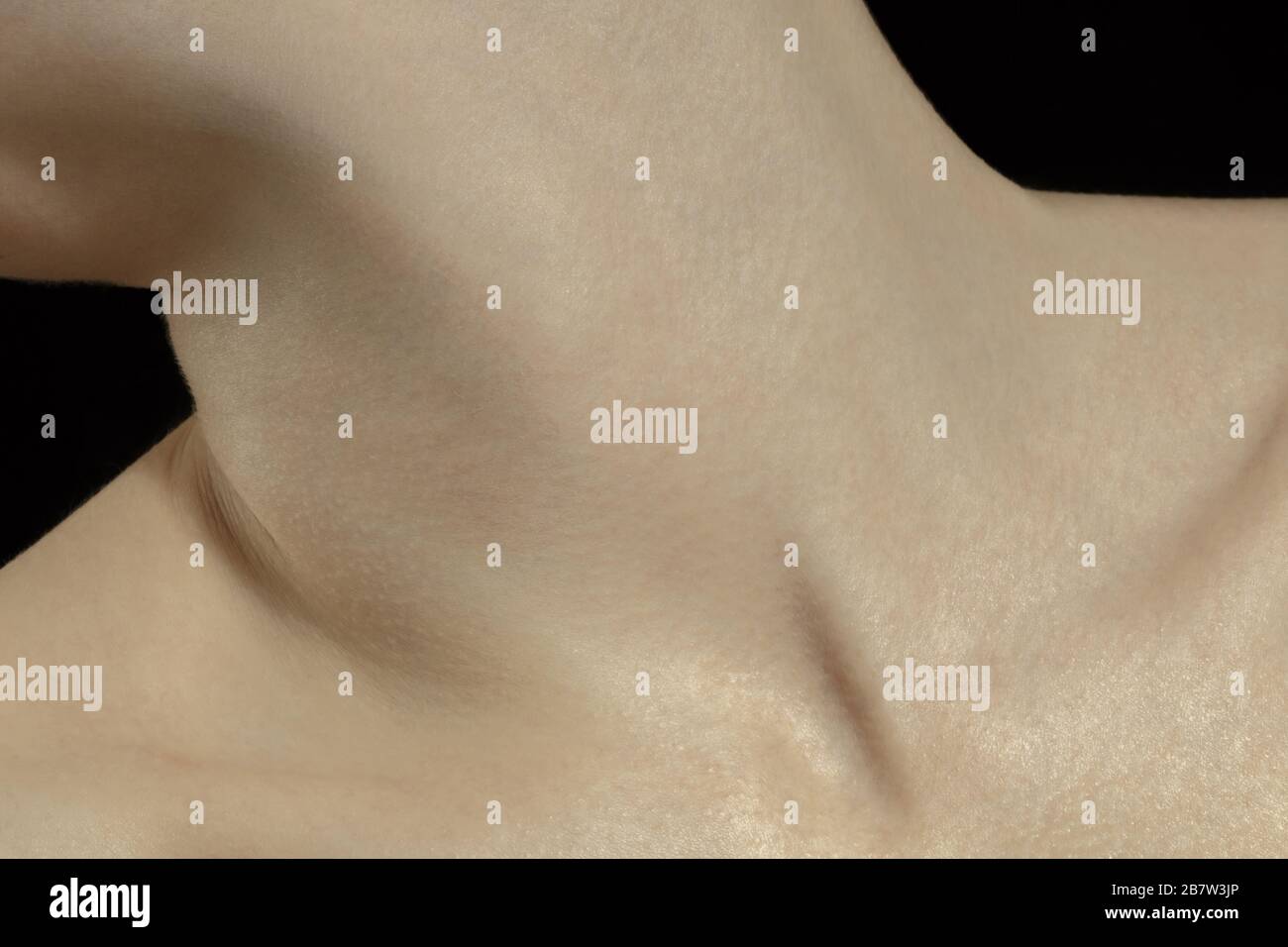 Collarbones. Detailed texture of human skin. Close up shot of young ...