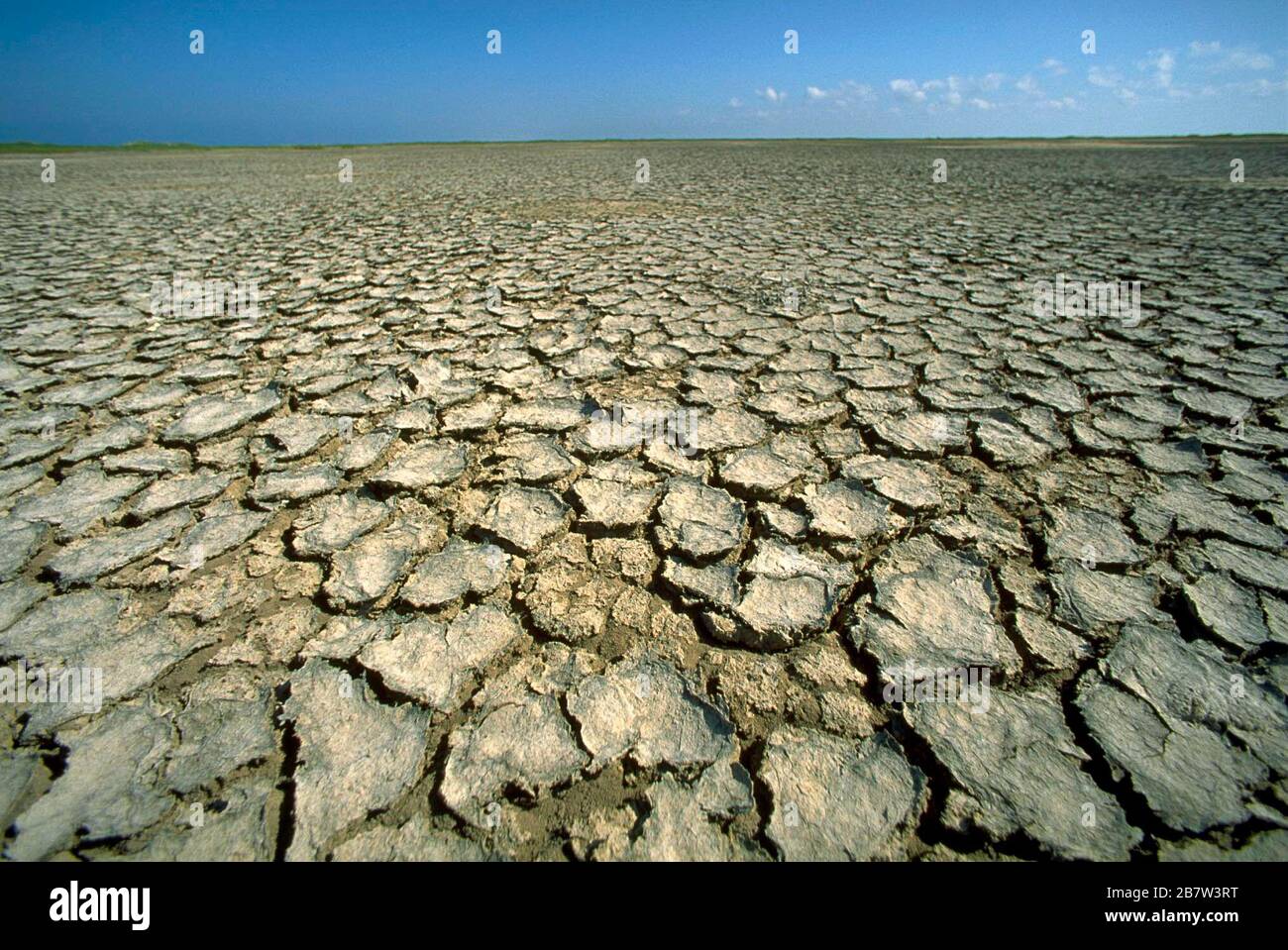 Dried cracking mud hi-res stock photography and images - Alamy