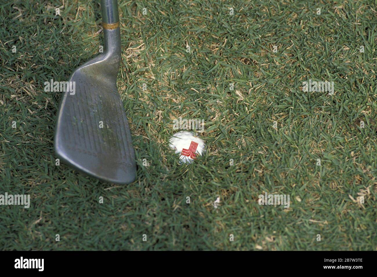 Golf club, ball, grass. ©Bob Daemmrich Stock Photo - Alamy