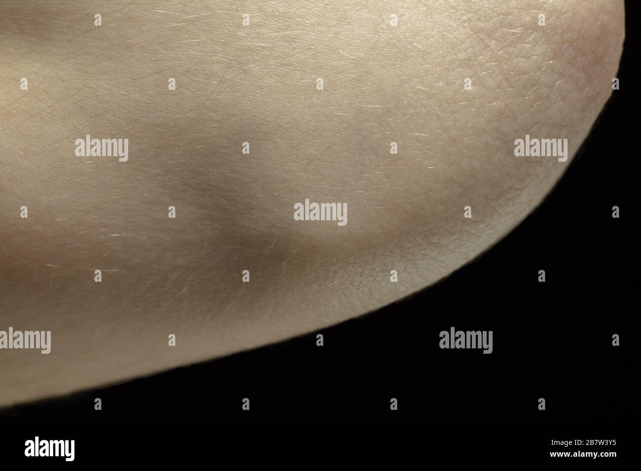 Beauty. Detailed texture of human skin. Close up shot of young ...