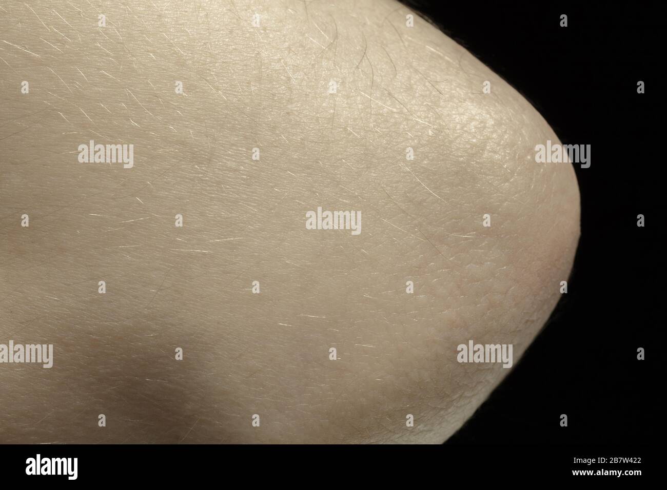 Beauty. Detailed texture of human skin. Close up shot of young ...