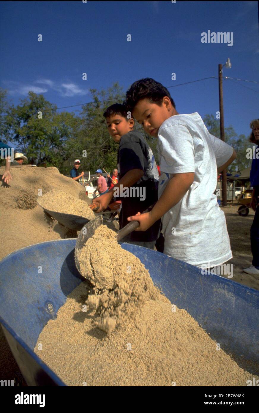 San Marcos TX USA, 1992: Hispanic 6th grade boys shovel sand into a ...