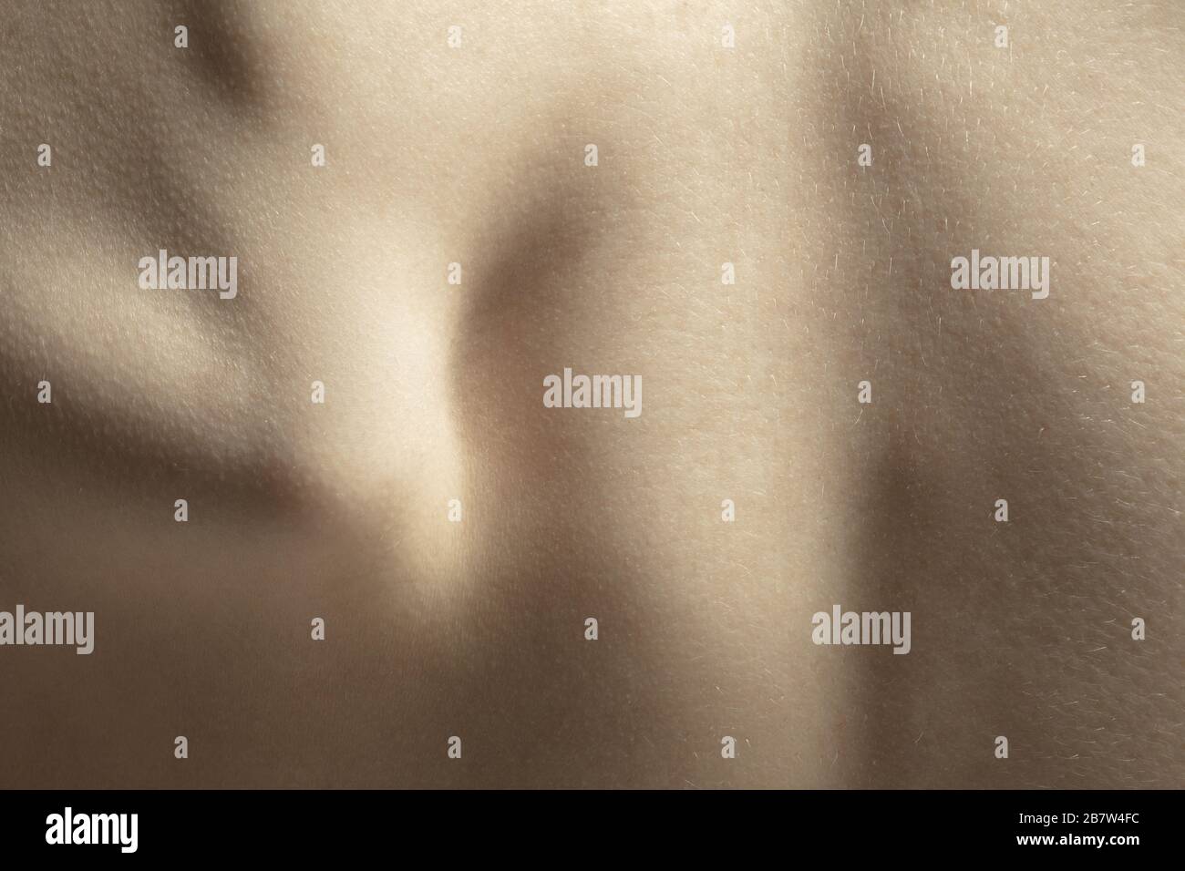 Spine. Detailed texture of human skin. Close up shot of young caucasian ...