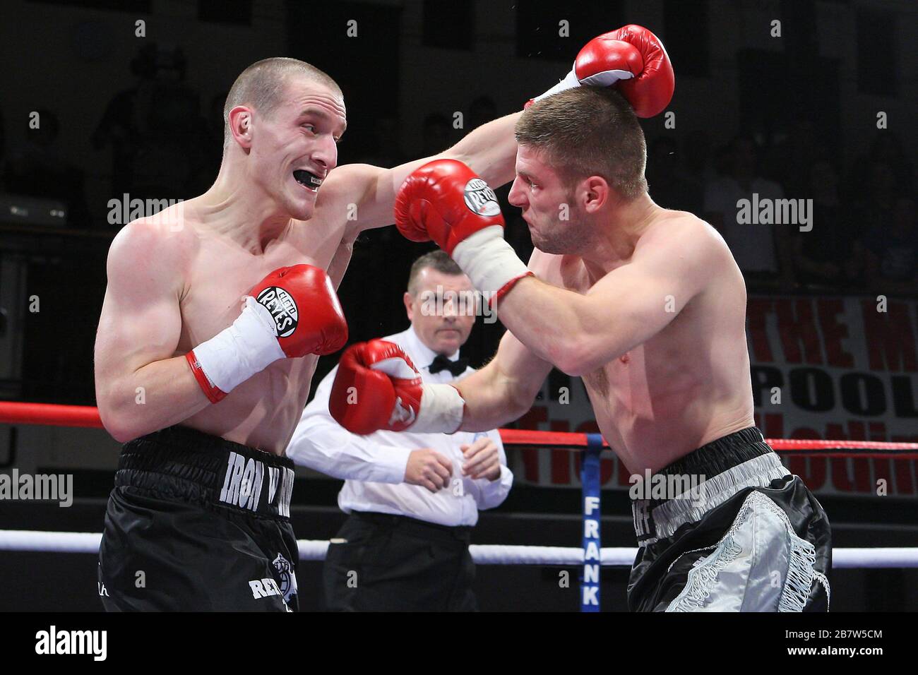 James ancliff boxing hi-res stock photography and images - Alamy