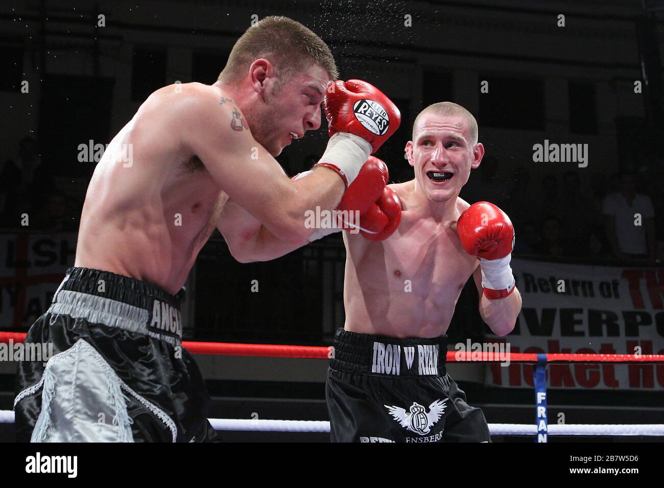 James ancliff boxing hi-res stock photography and images - Alamy