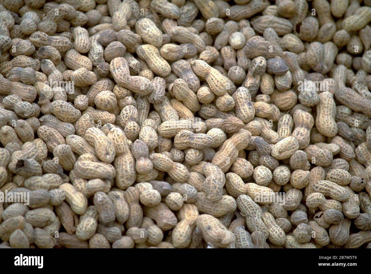 Bulk peanuts hi-res stock photography and images - Alamy