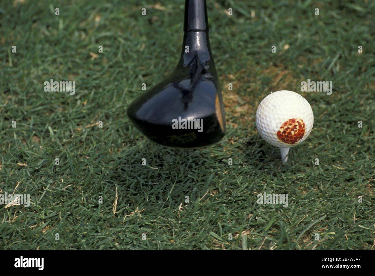 Golf ball balanced on tee hi-res stock photography and images - Alamy