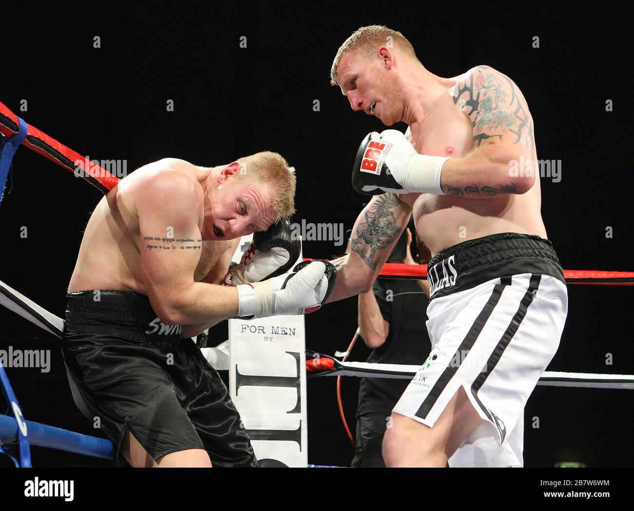 Tom Dallas (white shorts) defeats Lee Swaby in a Heavyweight boxing ...