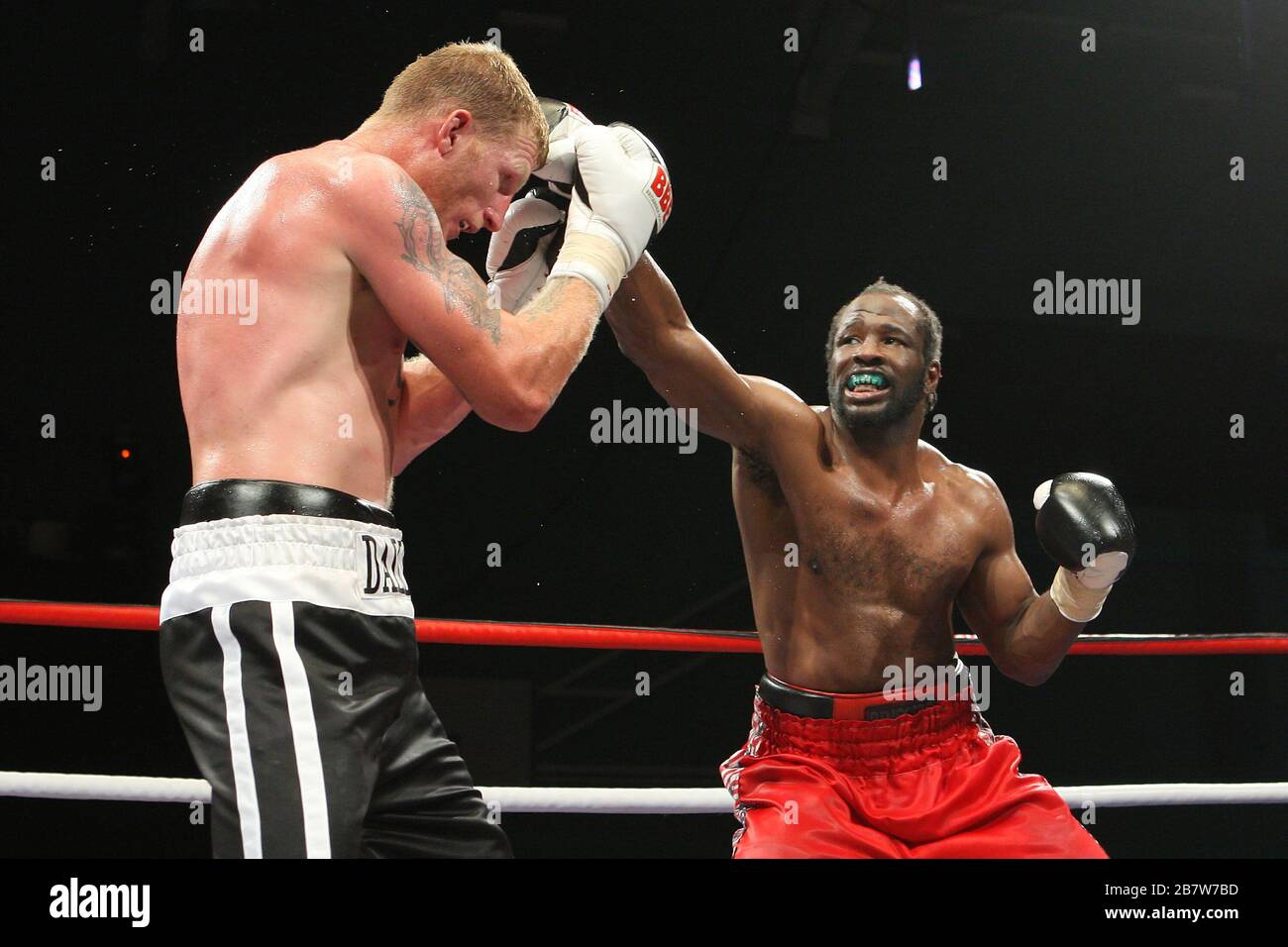 Tom Dallas Boxer