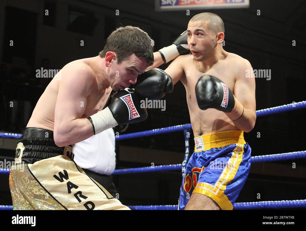 Martin toth hi-res stock photography and images - Alamy