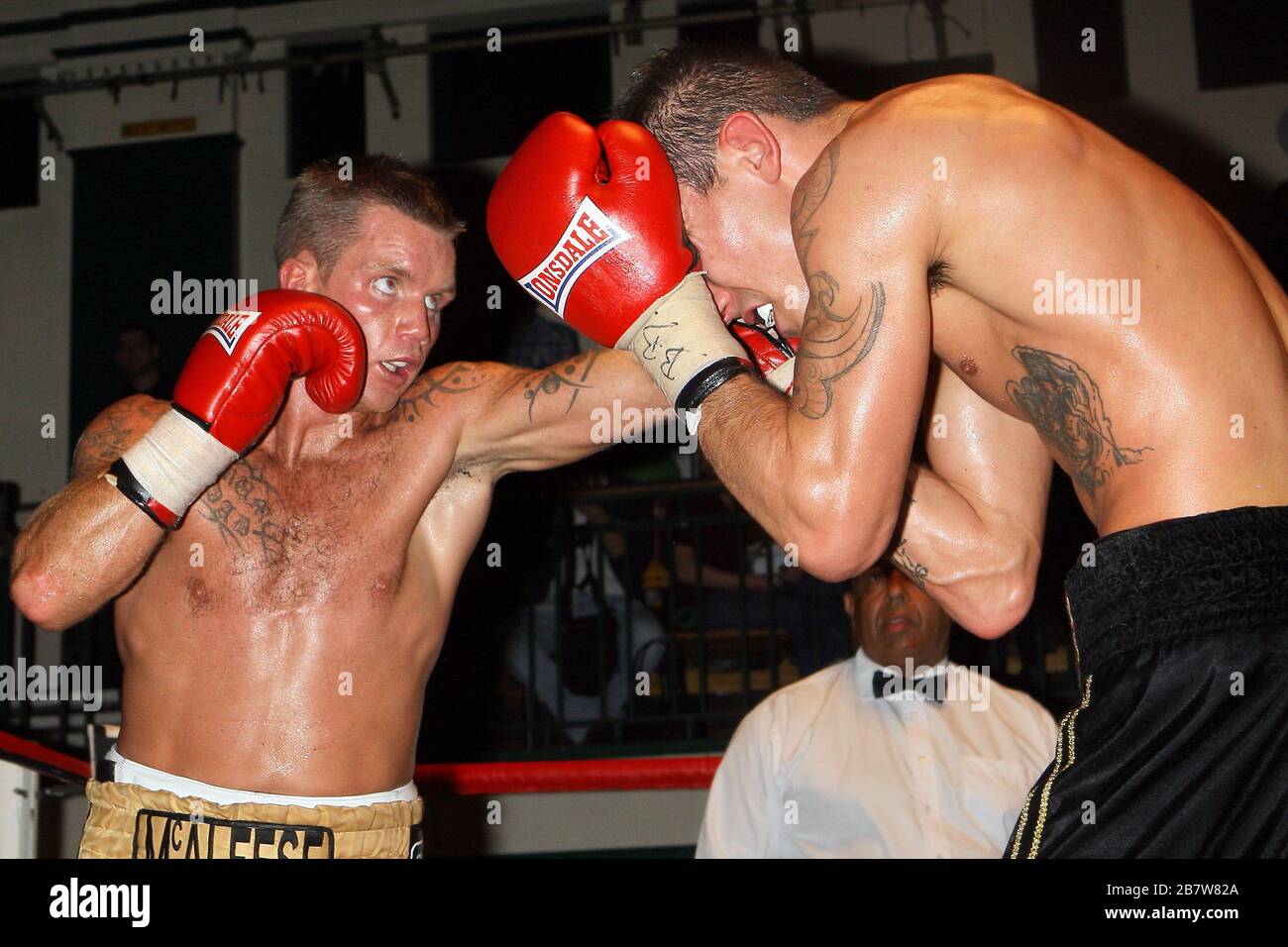 Lee noble boxing hi-res stock photography and images - Alamy