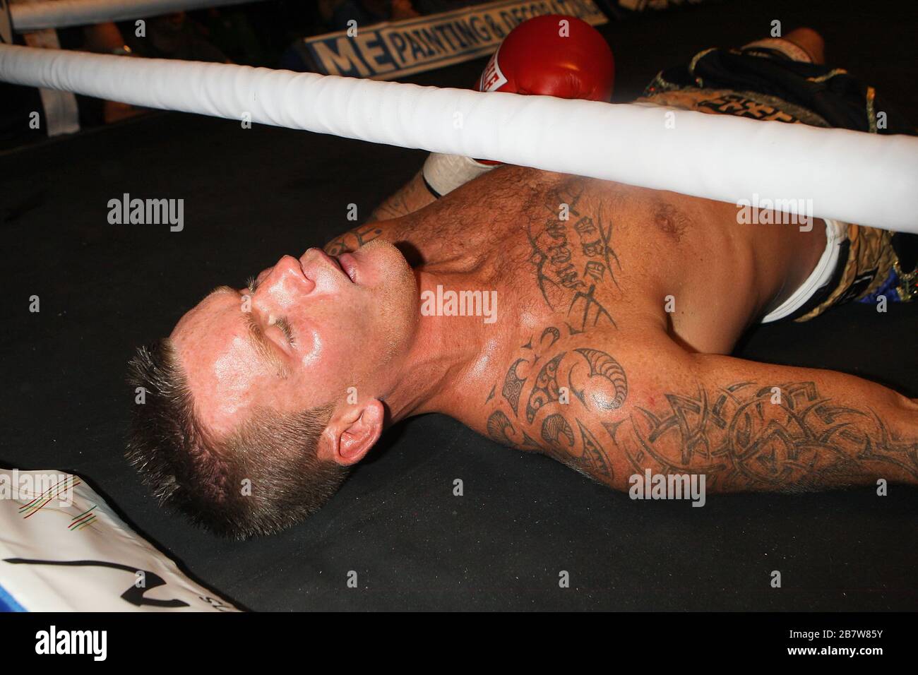 Lee noble boxing hi-res stock photography and images - Alamy