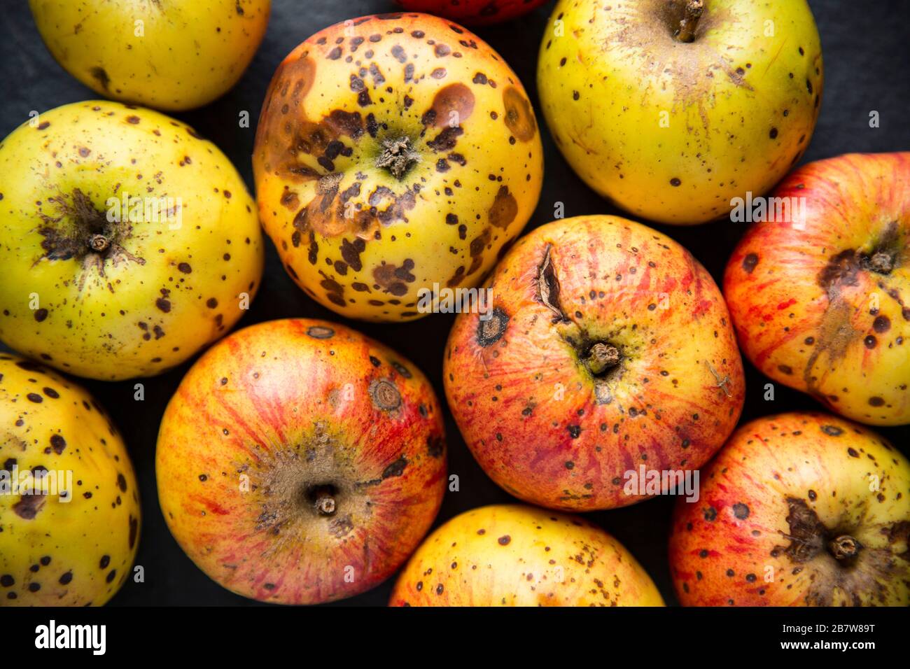 Decaying fruit hi-res stock photography and images - Alamy
