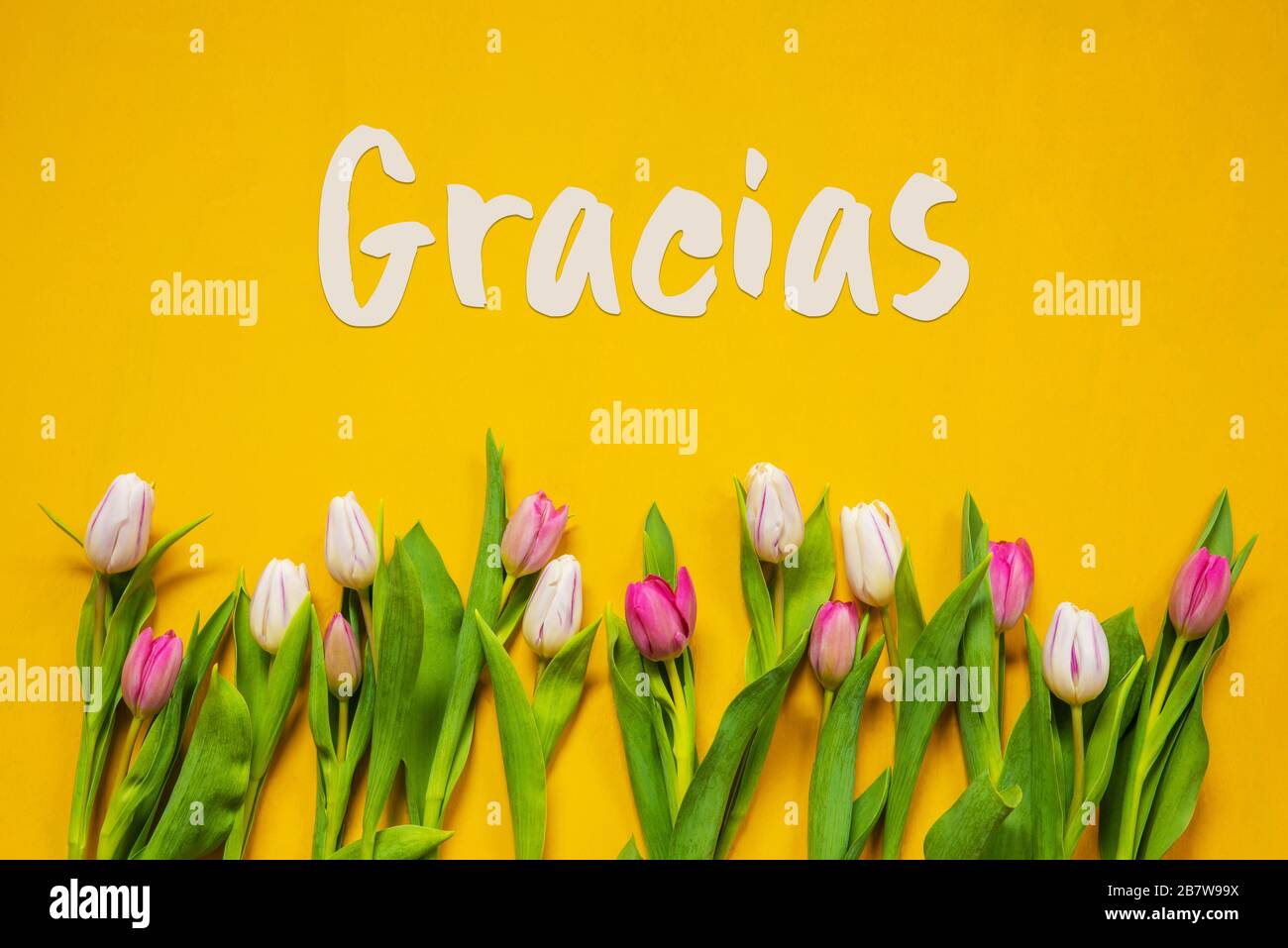 Gracias thank you card hi-res stock photography and images - Alamy
