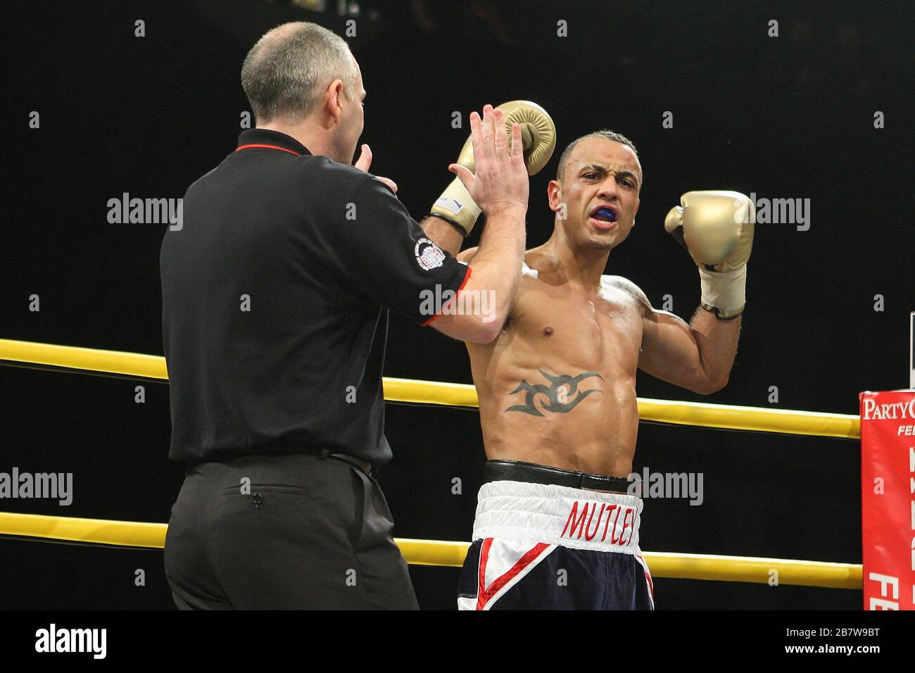 Young mutley hi-res stock photography and images - Alamy