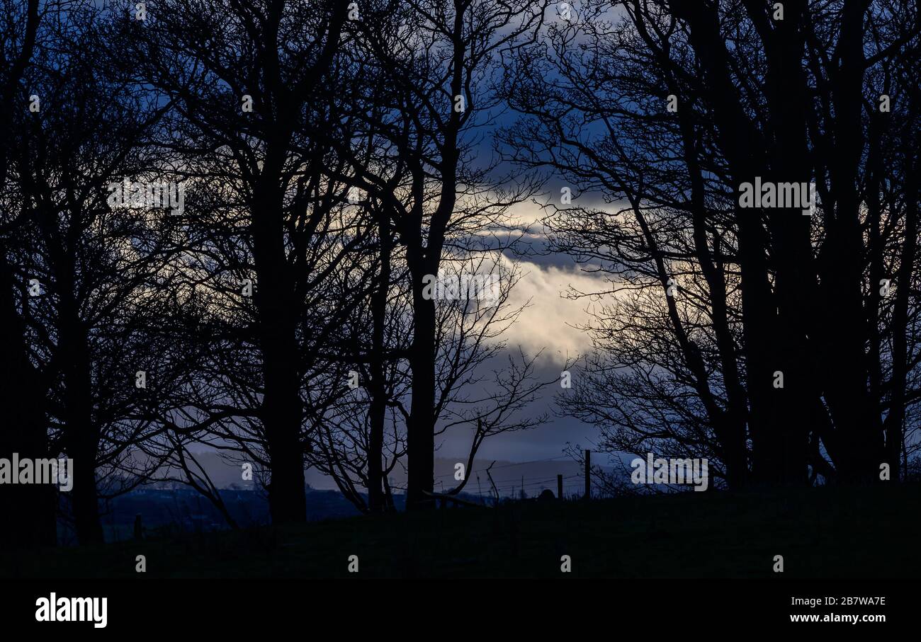 Burton mere wetlands rspb reserve hi-res stock photography and images ...