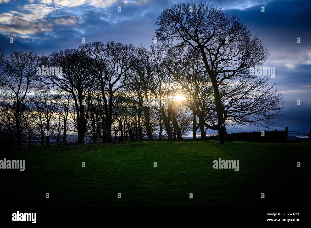 Burton mere wetlands rspb hi-res stock photography and images - Alamy