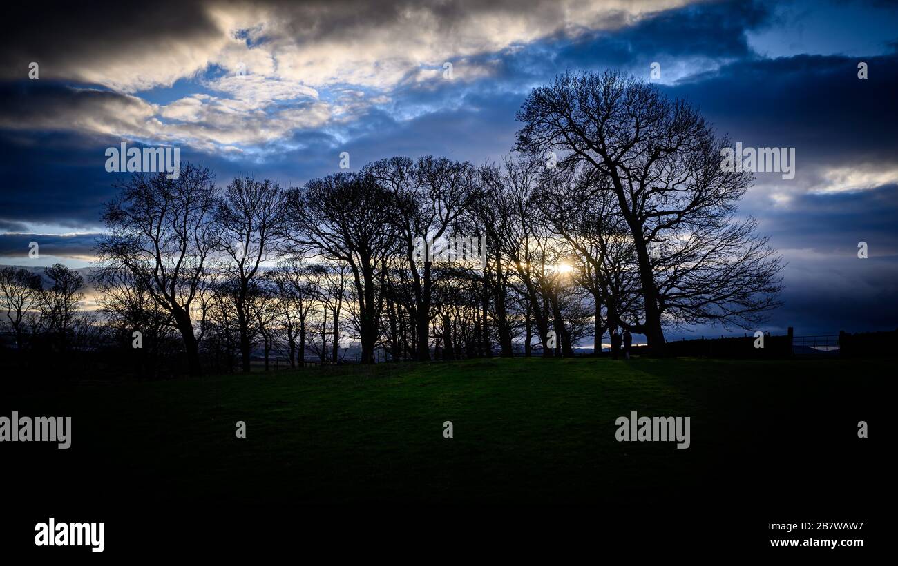 Rspb Reserve, Burton Mere Wetlands High Resolution Stock Photography ...