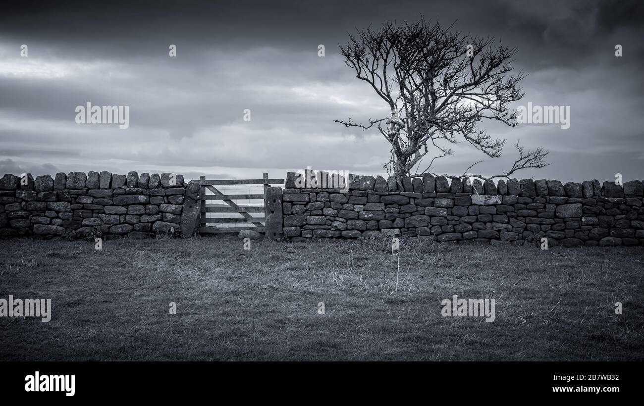 Burton mere wetlands rspb hi-res stock photography and images - Alamy