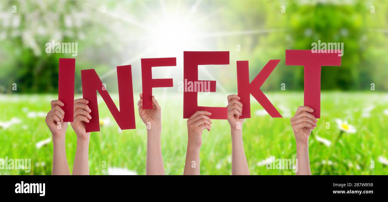 People Hands Holding Word Infekt Means Infection, Grass Meadow Stock ...
