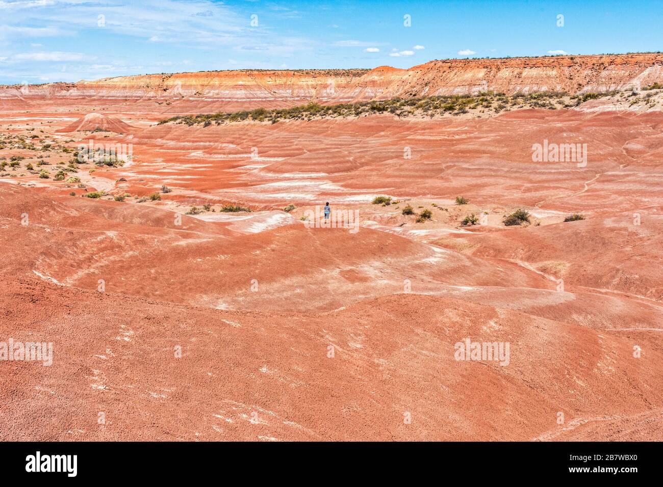 Patagonian desert landscape hi-res stock photography and images - Alamy