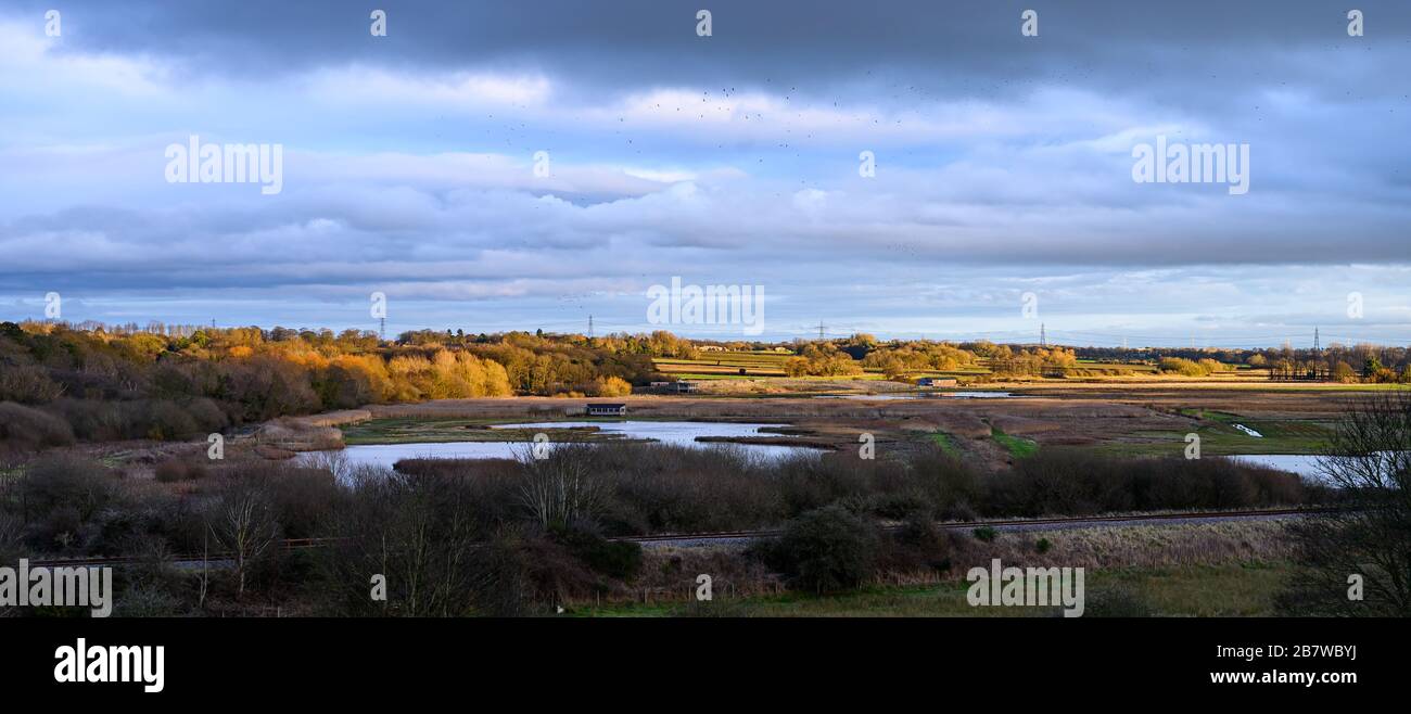 Rspb Reserve, Burton Mere Wetlands High Resolution Stock Photography ...