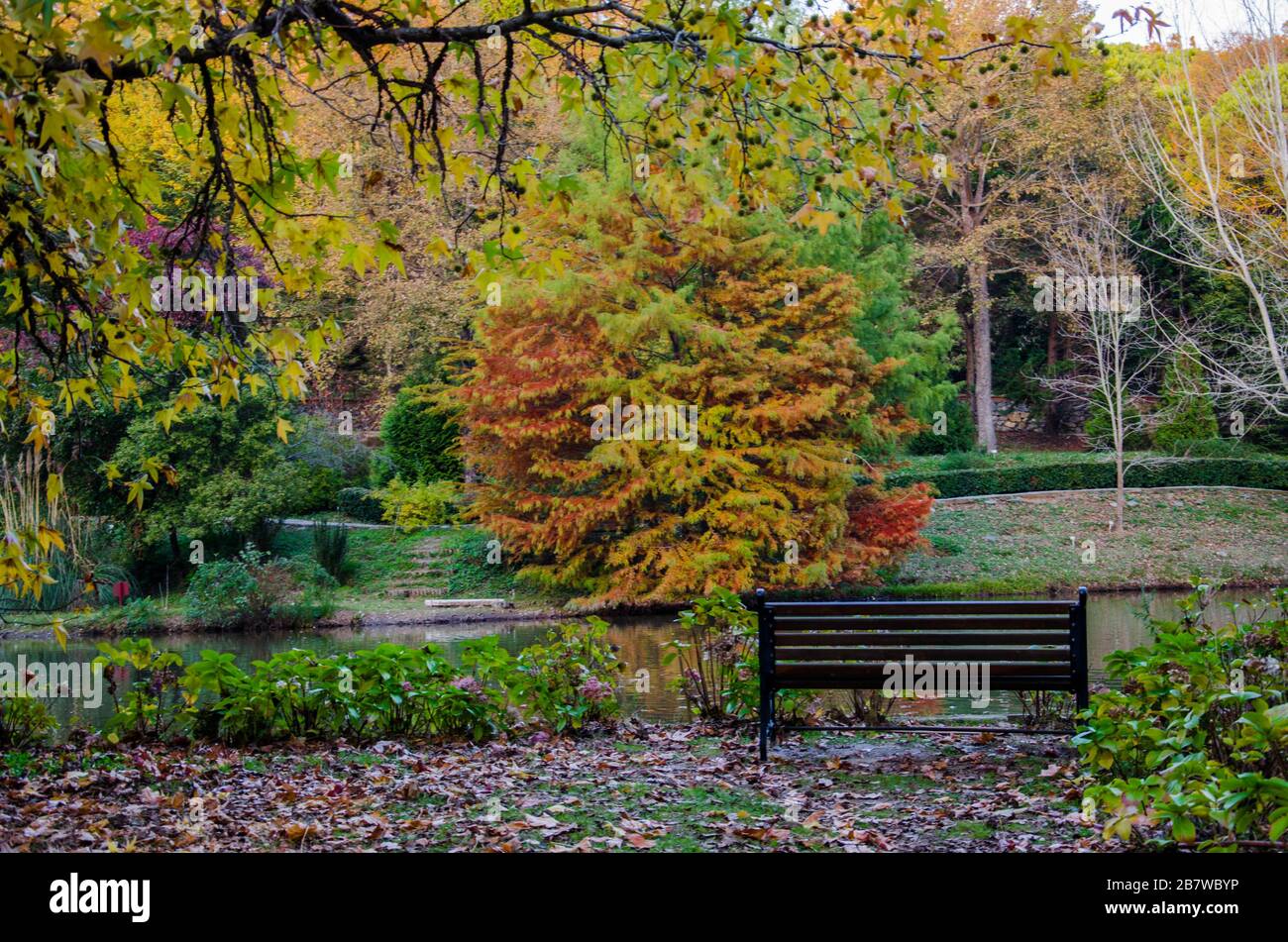 Serenity bench hi-res stock photography and images - Alamy