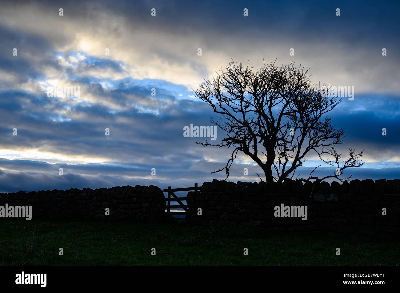 Burton mere wetlands rspb reserve hi-res stock photography and images ...