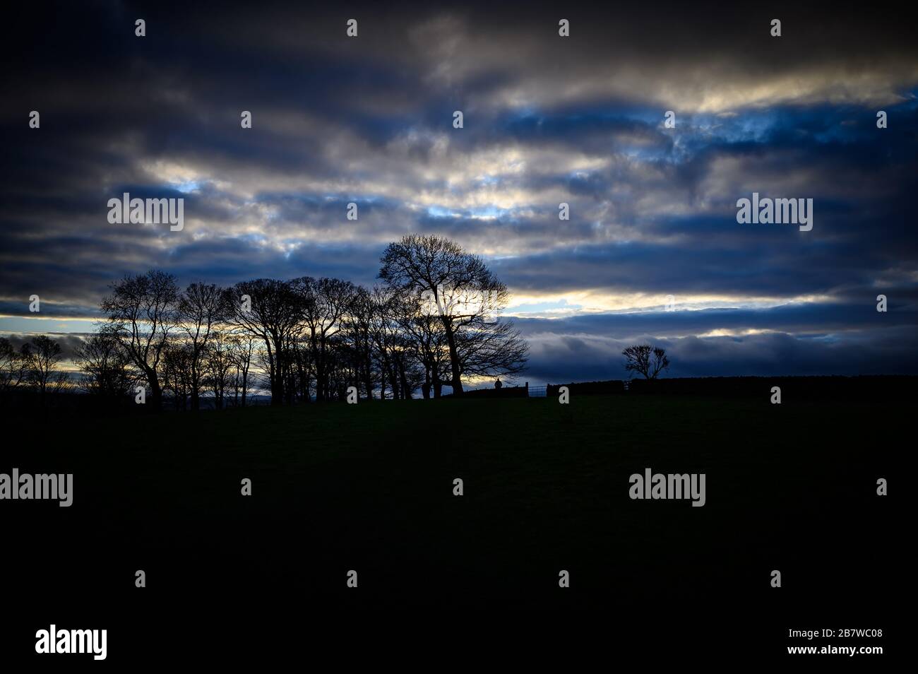 Burton mere wetlands rspb hi-res stock photography and images - Alamy