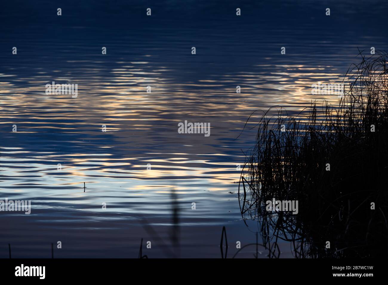 Rspb Reserve, Burton Mere Wetlands High Resolution Stock Photography ...