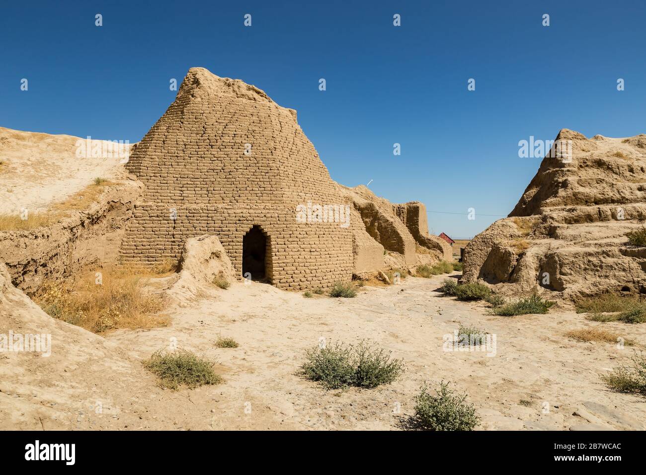 Turkestan Desert Location
