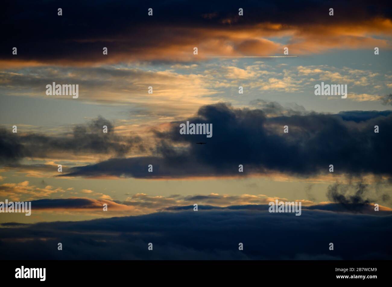 Rspb Reserve, Burton Mere Wetlands High Resolution Stock Photography ...