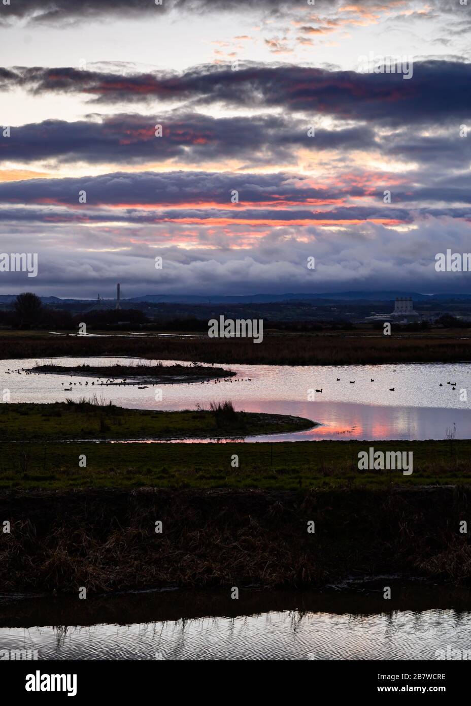 Burton mere wetlands rspb reserve hi-res stock photography and images ...