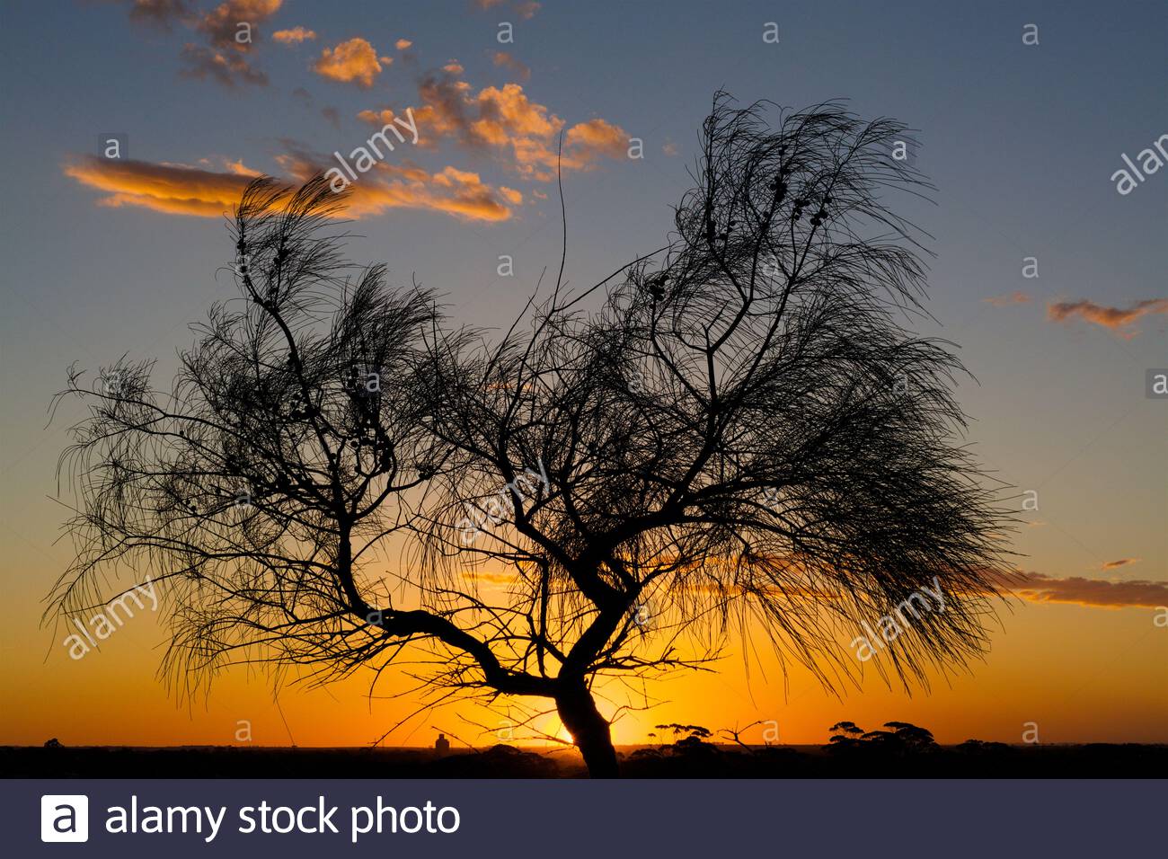 Western Australia Outback Travel Town High Resolution Stock Photography ...