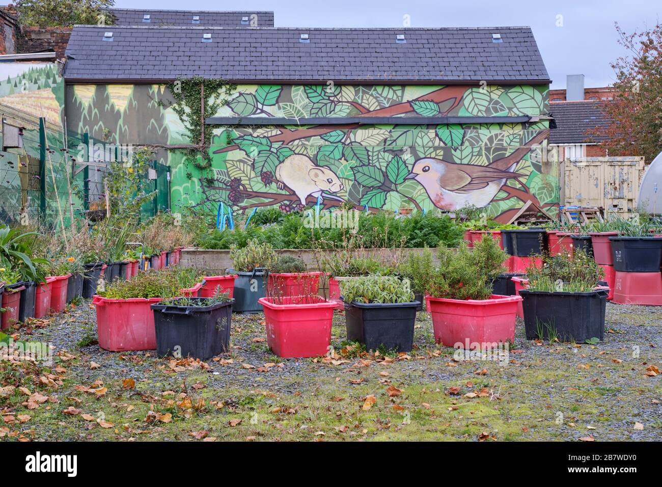 Community garden with planters and green mural in East Belfast Stock ...