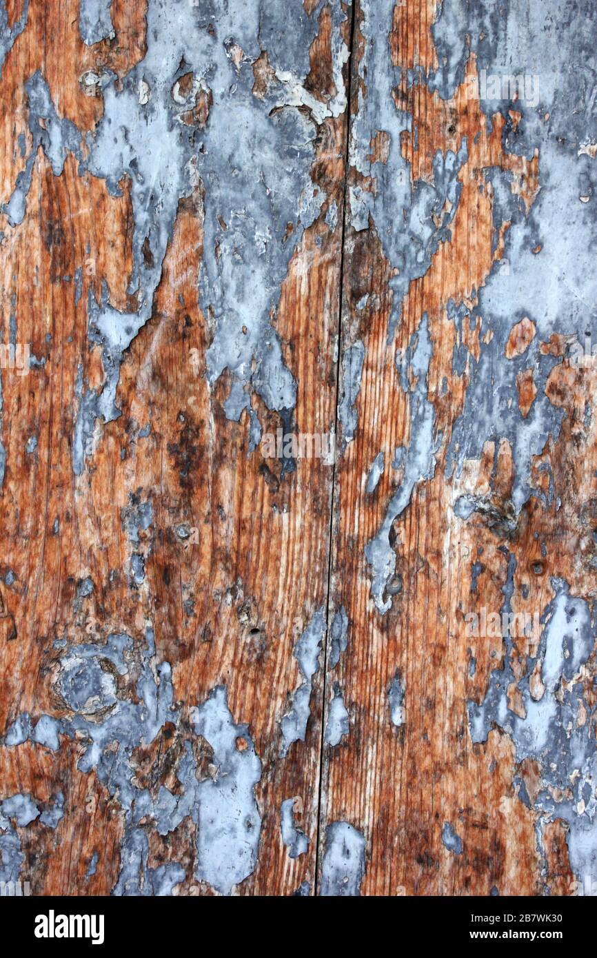 Weathered, Beautiful Background wood texture Stock Photo - Alamy