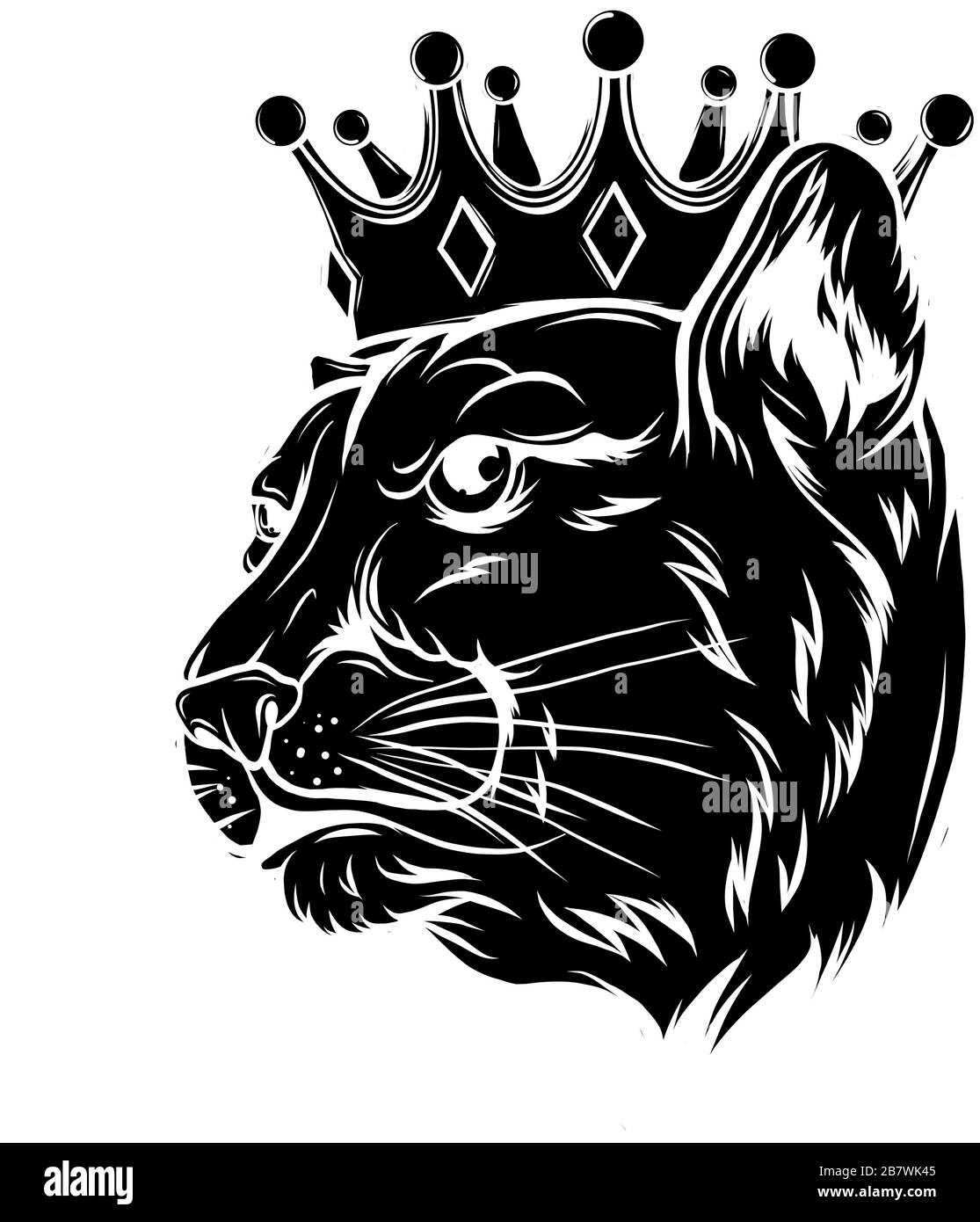 Panther print Black and White Stock Photos & Images - Alamy