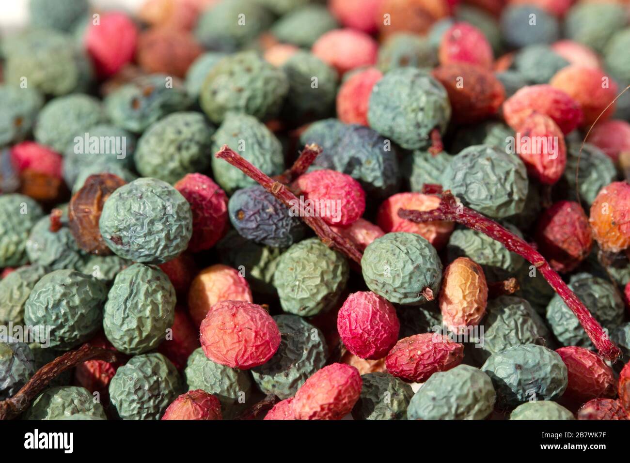 Pistacia terebinthus, Fruits of Terebinth Stock Photo - Alamy