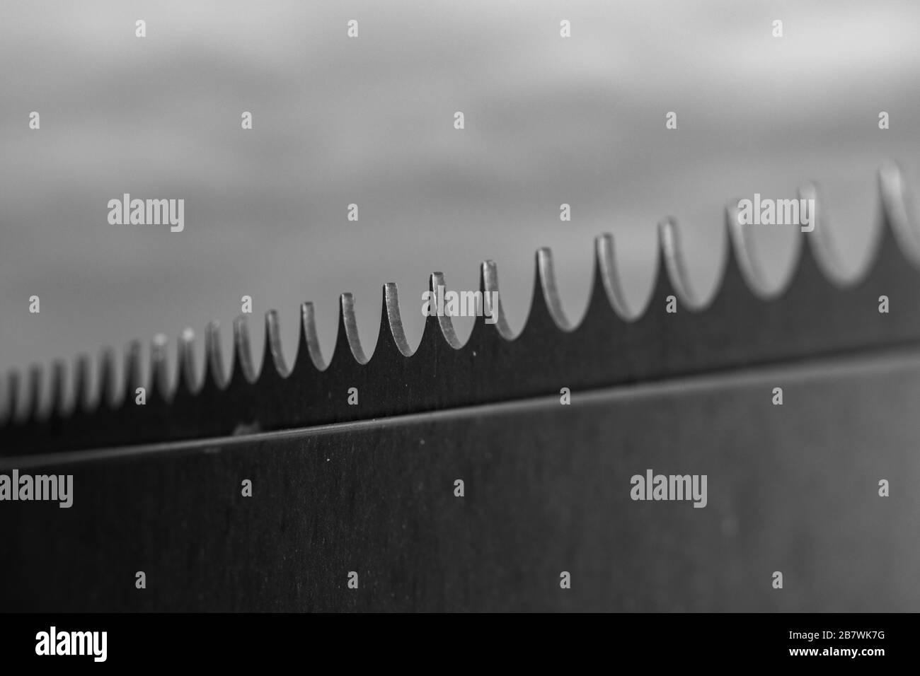 Selective focus on iron spiked border fence Stock Photo - Alamy