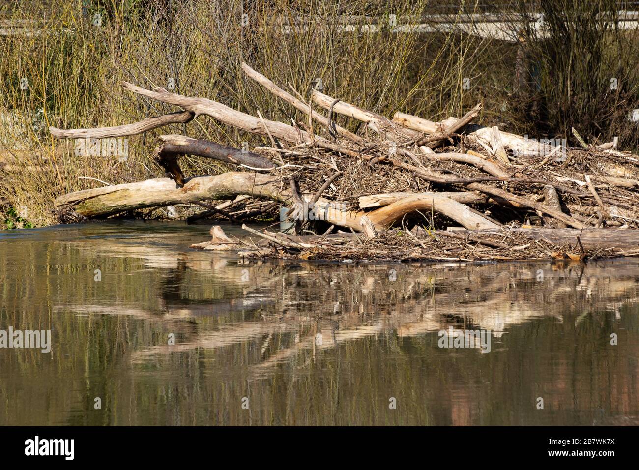 Natural dam made out of Branches and Rocks Stock Photo - Alamy