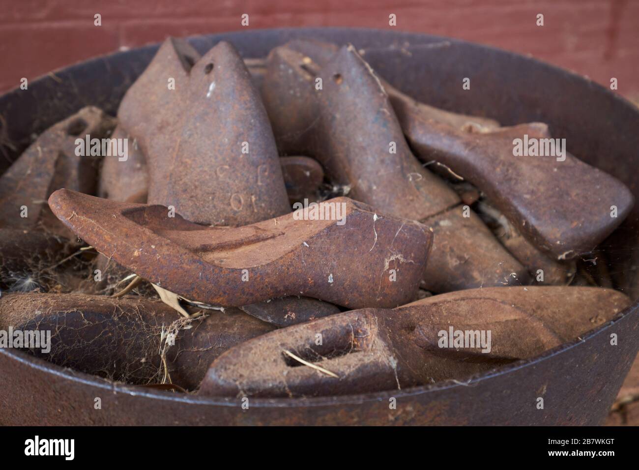 Steel shoe molds in a bucket at the Crawley mansion. At the Monte ...