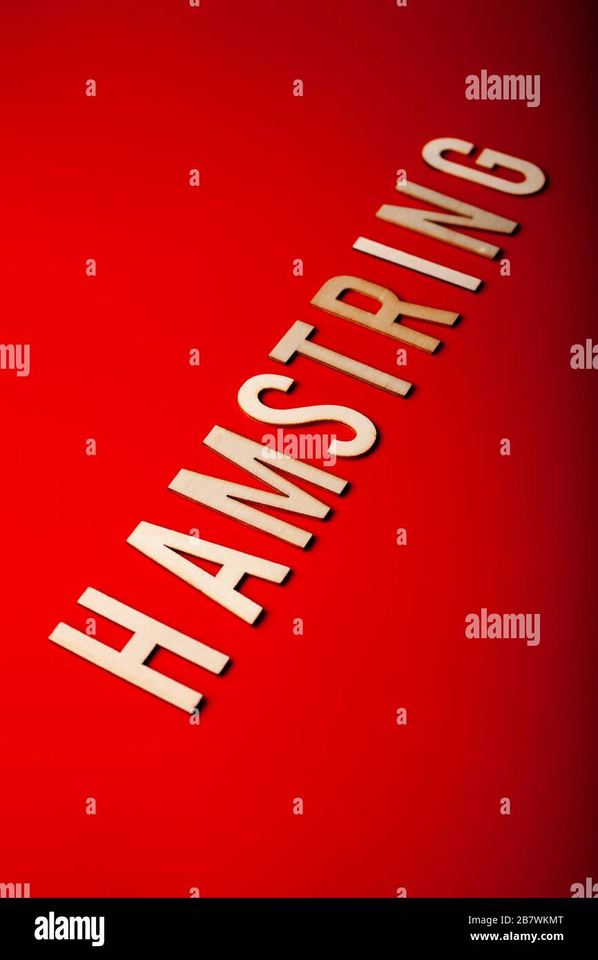 hamstring norwegian word text wooden letter on red background ...